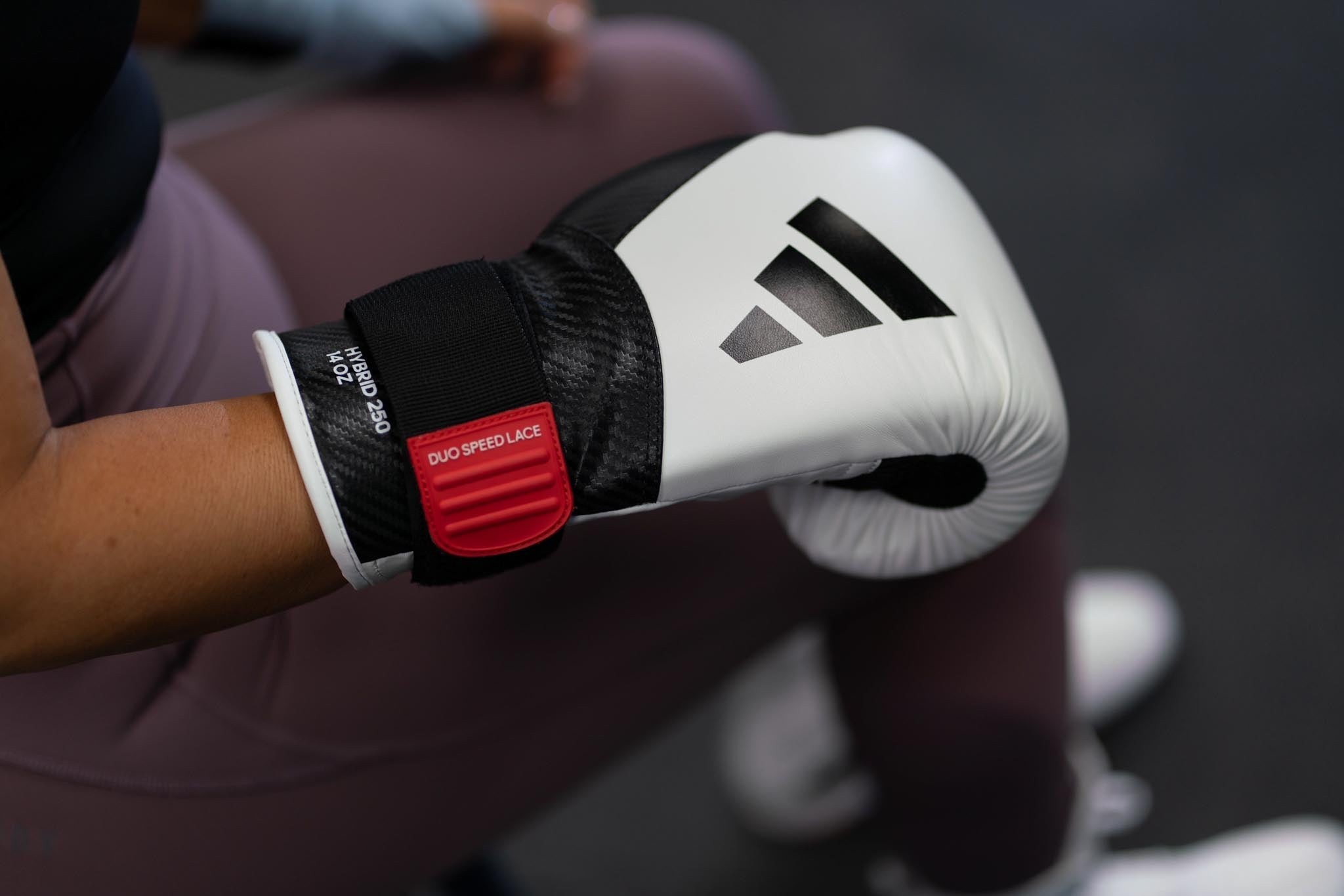 Boxing Workouts for All Ages – Beginner to Expert Training Guide ...