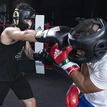 Official adidas Combat Sports Online Store in US | Best Combat Gear