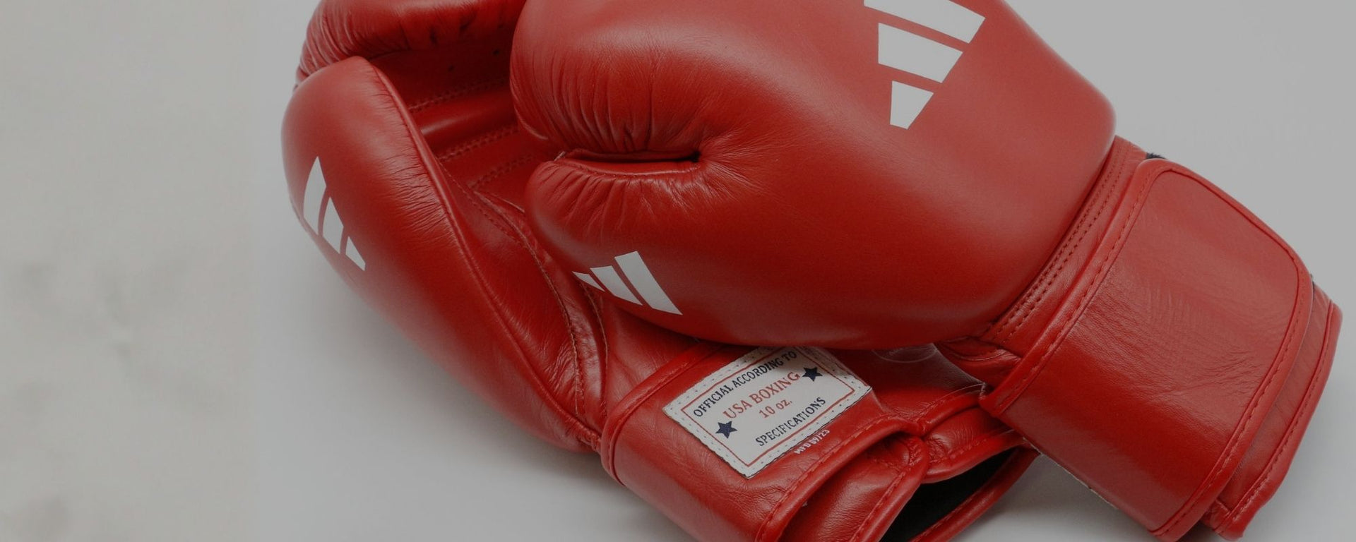 Official adidas Combat Sports Online Store in US | Best Combat Gear
